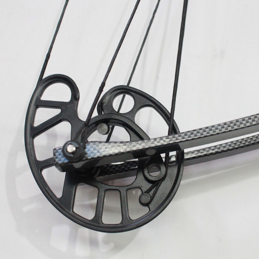 Hunting Compound bow Archery Triangle shooting pistol grip Bow Black ...