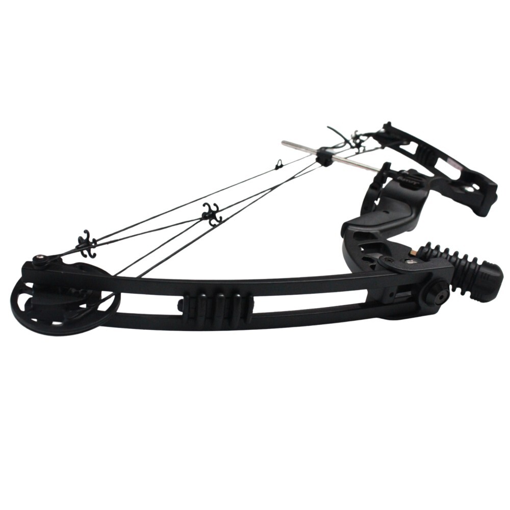 30-60lbs Compound Bow Arrow Archery Hunting Target Shooting Black ...