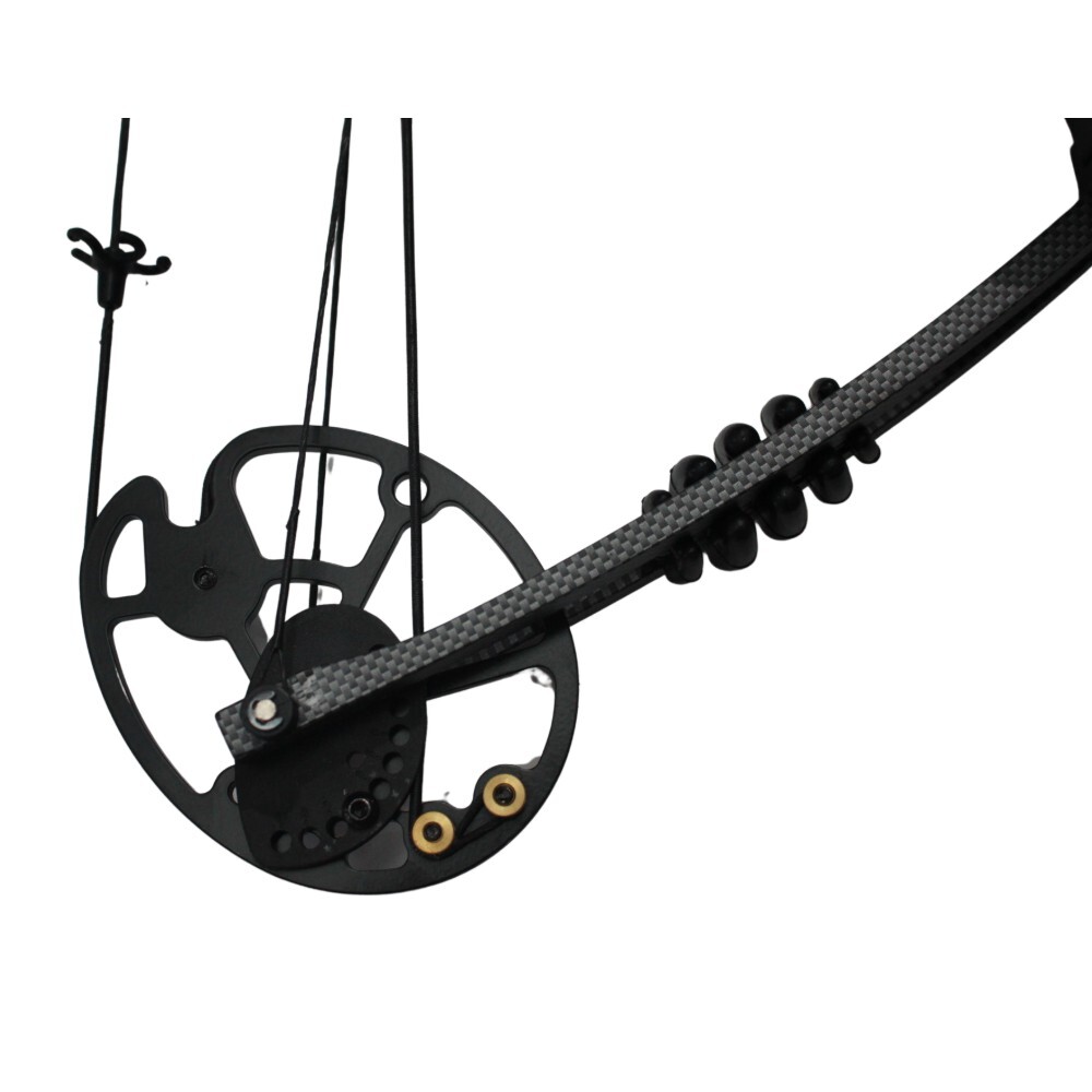 20-70lbs Black Compound Bow + 8 Arrows + Accessories Pack RH - COBRA ...