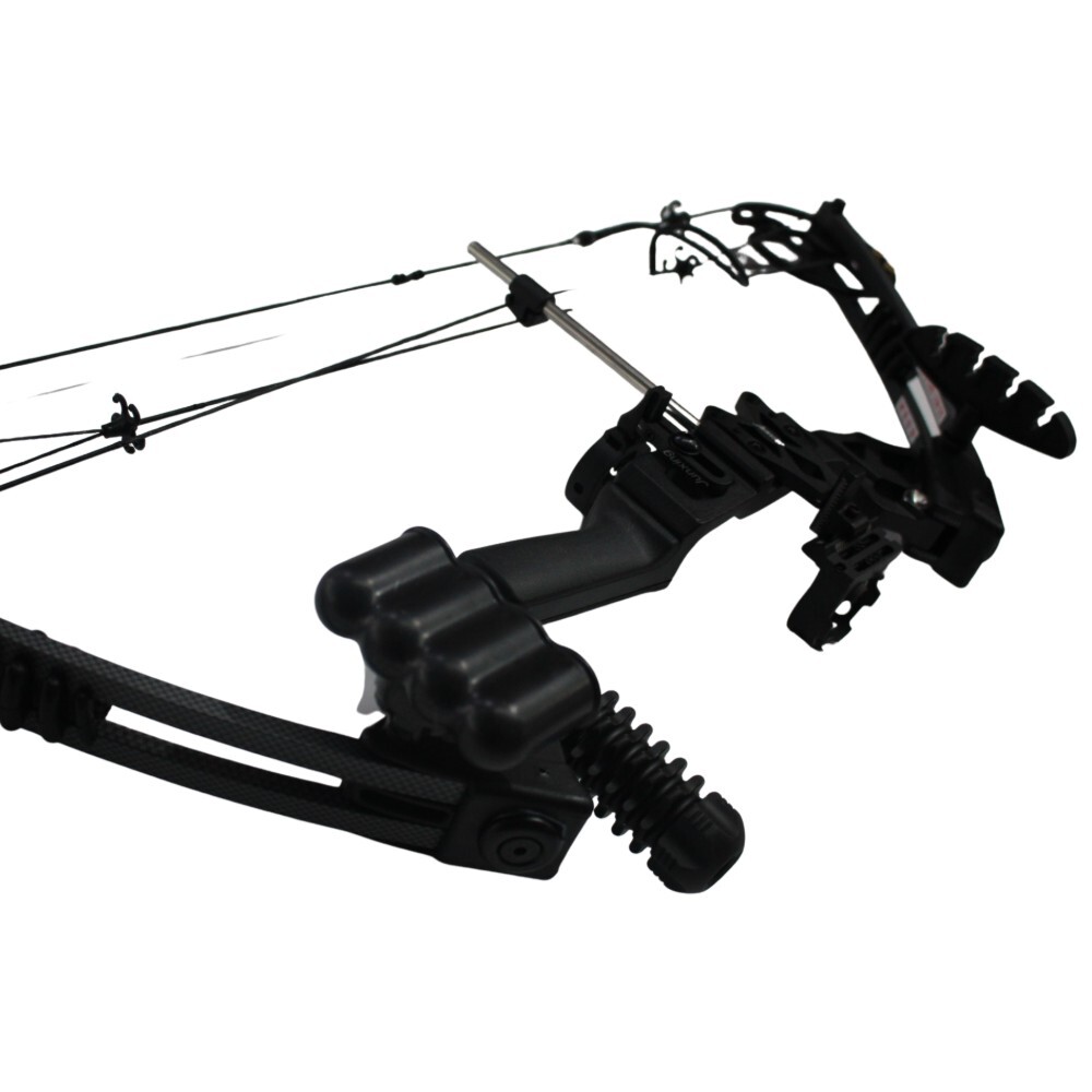 20-70lbs Black Compound Bow + 8 Arrows + Accessories Pack RH - COBRA ...